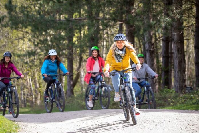 7 Tips For Bicycling With A Family - Cynergy Cycles